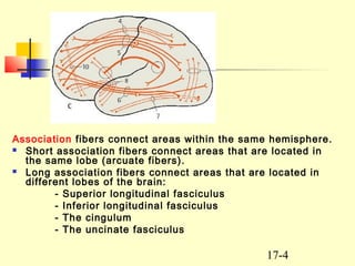 Pathways 1 | PPT