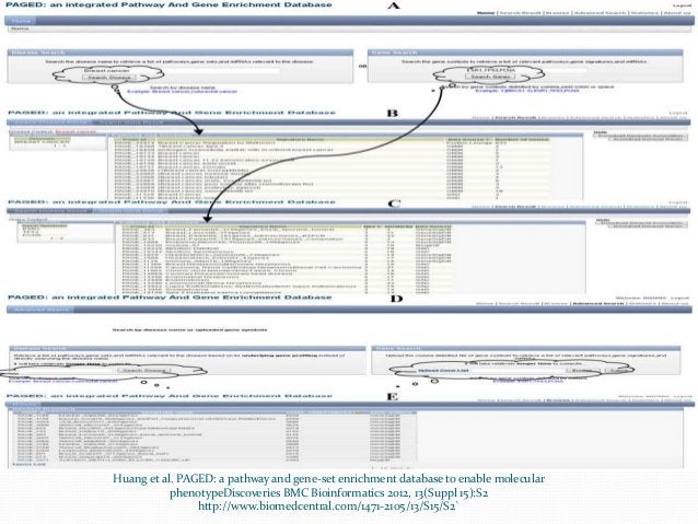 Pathways and genomes databases in bioinformatics | PPTX