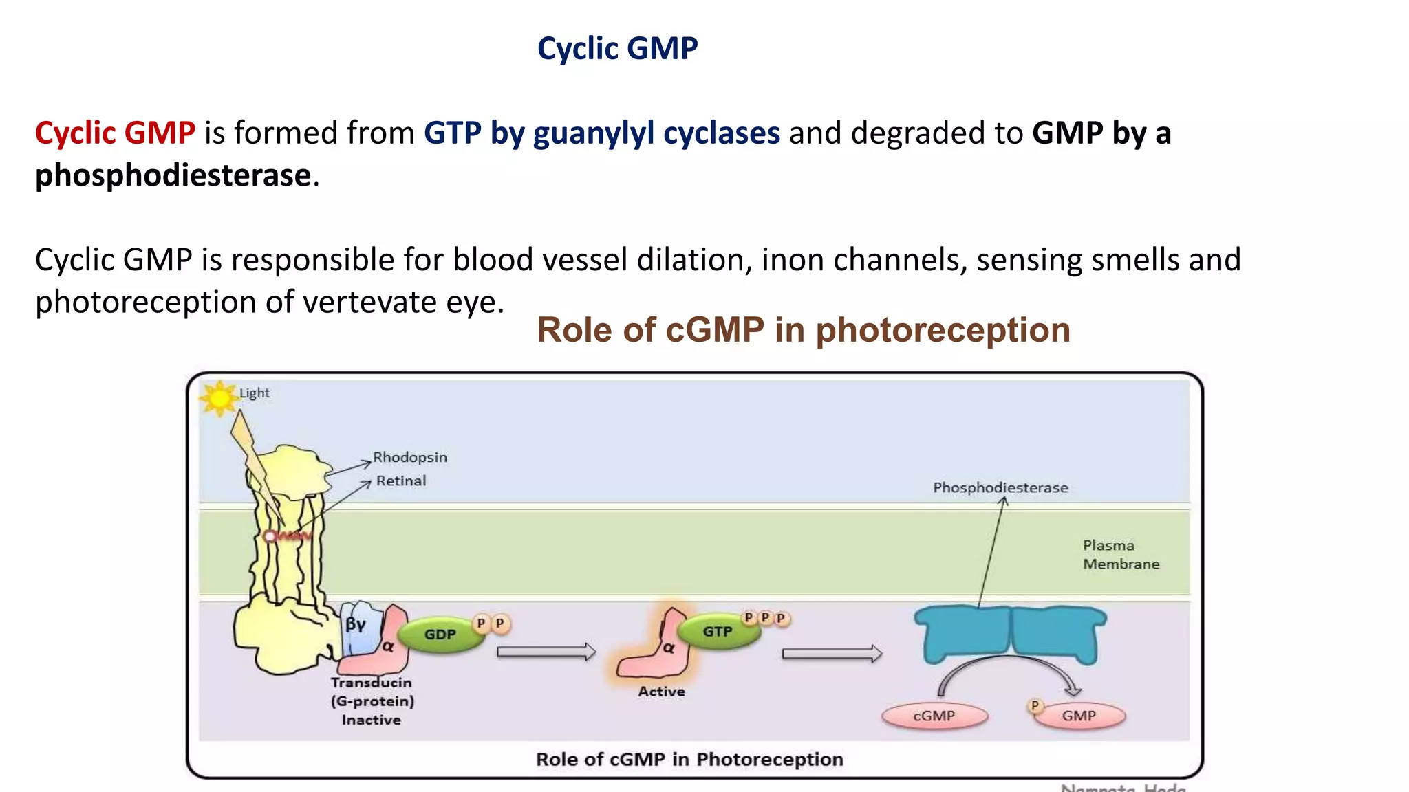 Pathways of intracellular signal transduction | PPTX