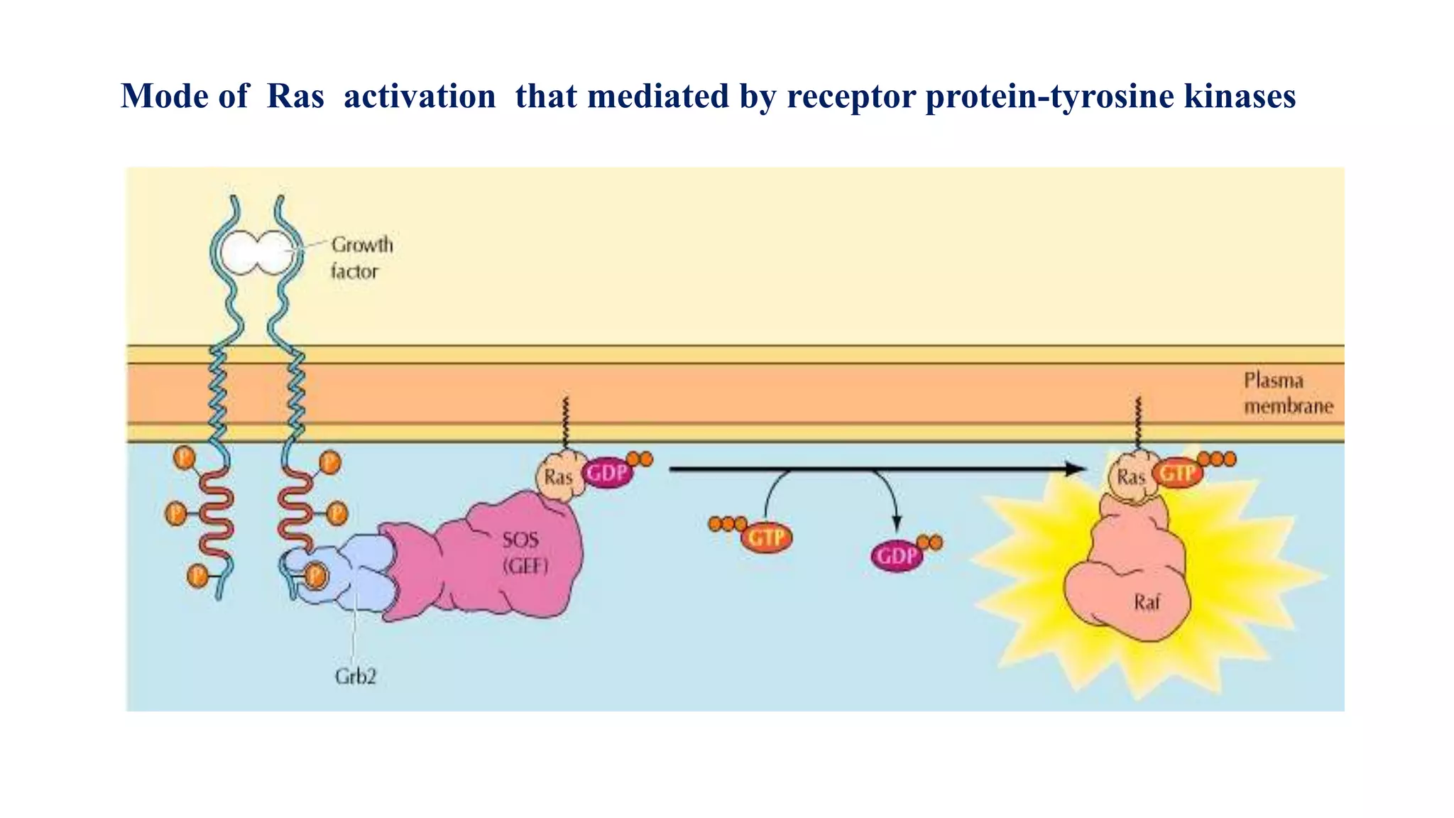Pathways of intracellular signal transduction | PPTX