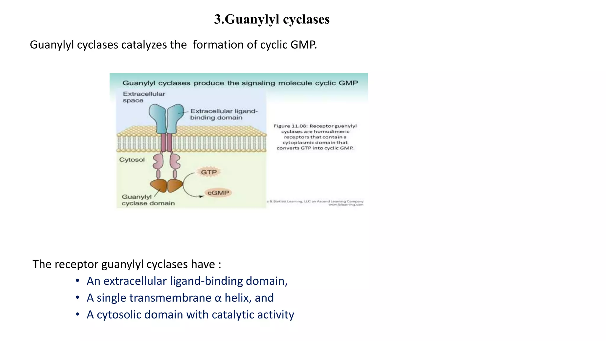 Pathways of intracellular signal transduction | PPTX