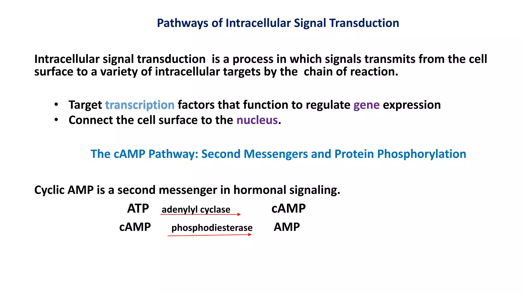 Pathways of intracellular signal transduction | PPTX