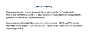 Pathways of intracellular signal transduction | PPTX