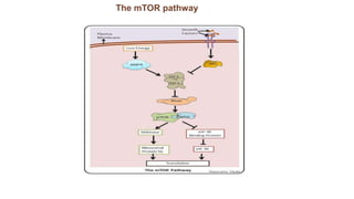 Pathways of intracellular signal transduction | PPTX