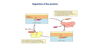 Pathways of intracellular signal transduction | PPTX