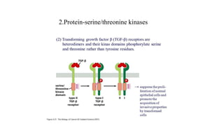 Pathways of intracellular signal transduction | PPTX