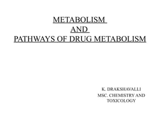 pathways of metabolism by drugs in the body | PPT