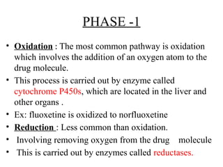 pathways of metabolism by drugs in the body | PPT