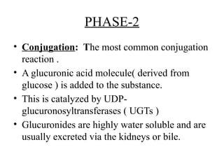 pathways of metabolism by drugs in the body | PPT