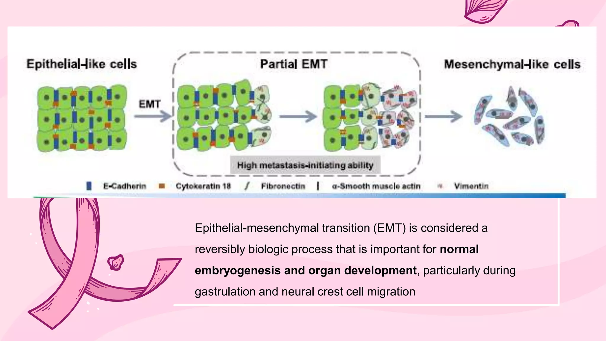 Pathways of metastasis of malignant tumors | PPTX