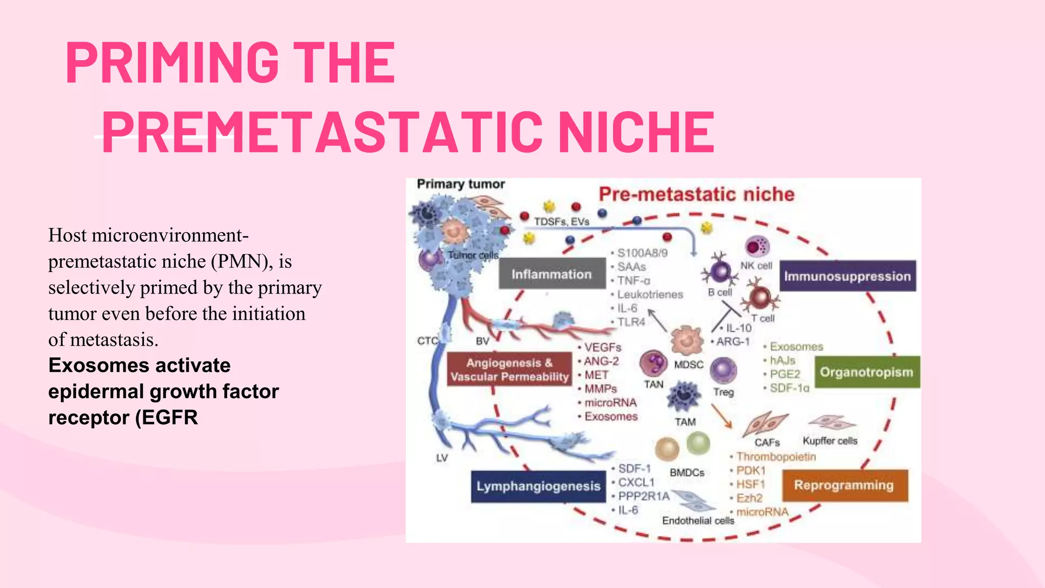 Pathways of metastasis of malignant tumors | PPTX