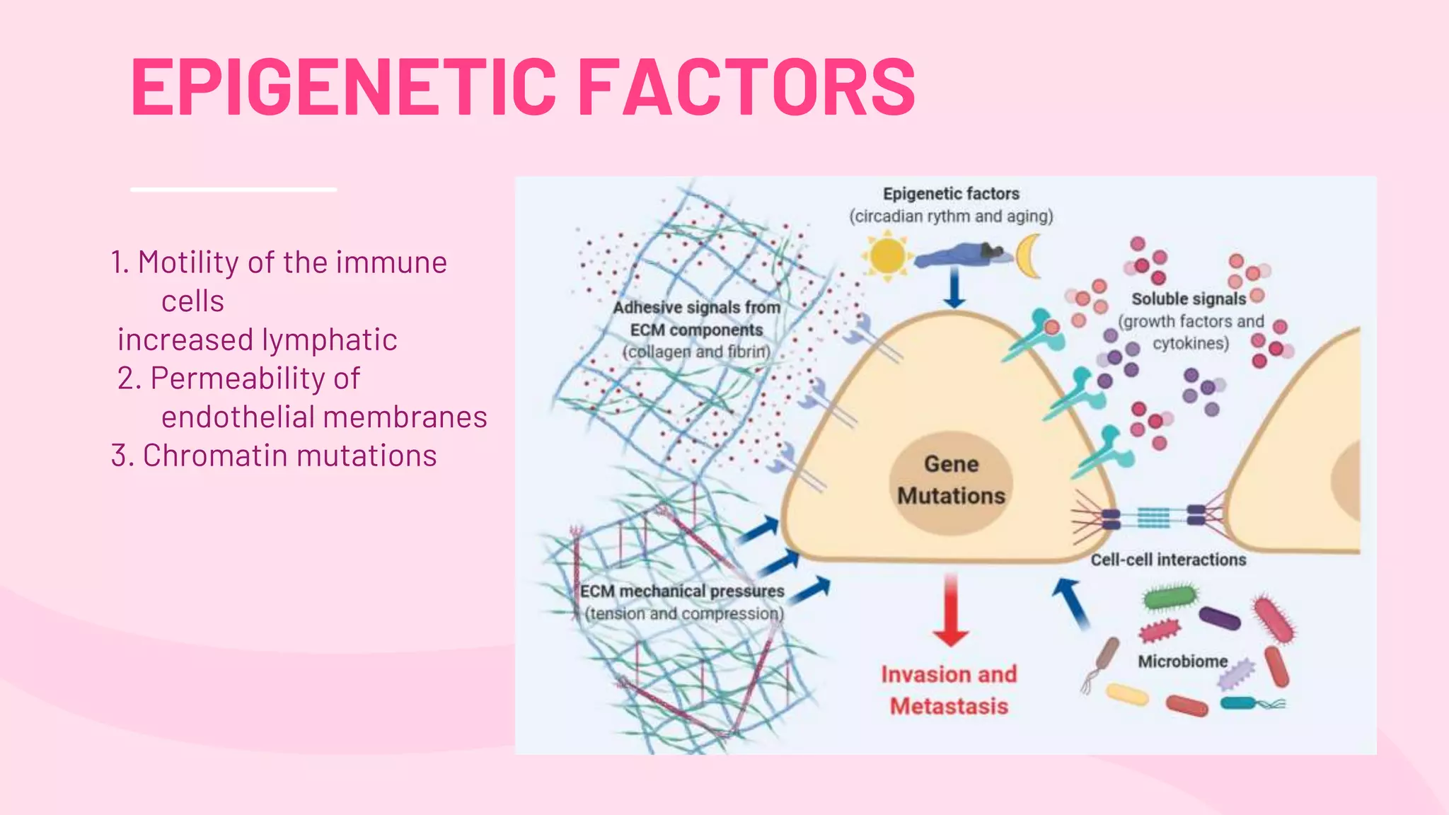 Pathways of metastasis of malignant tumors | PPTX