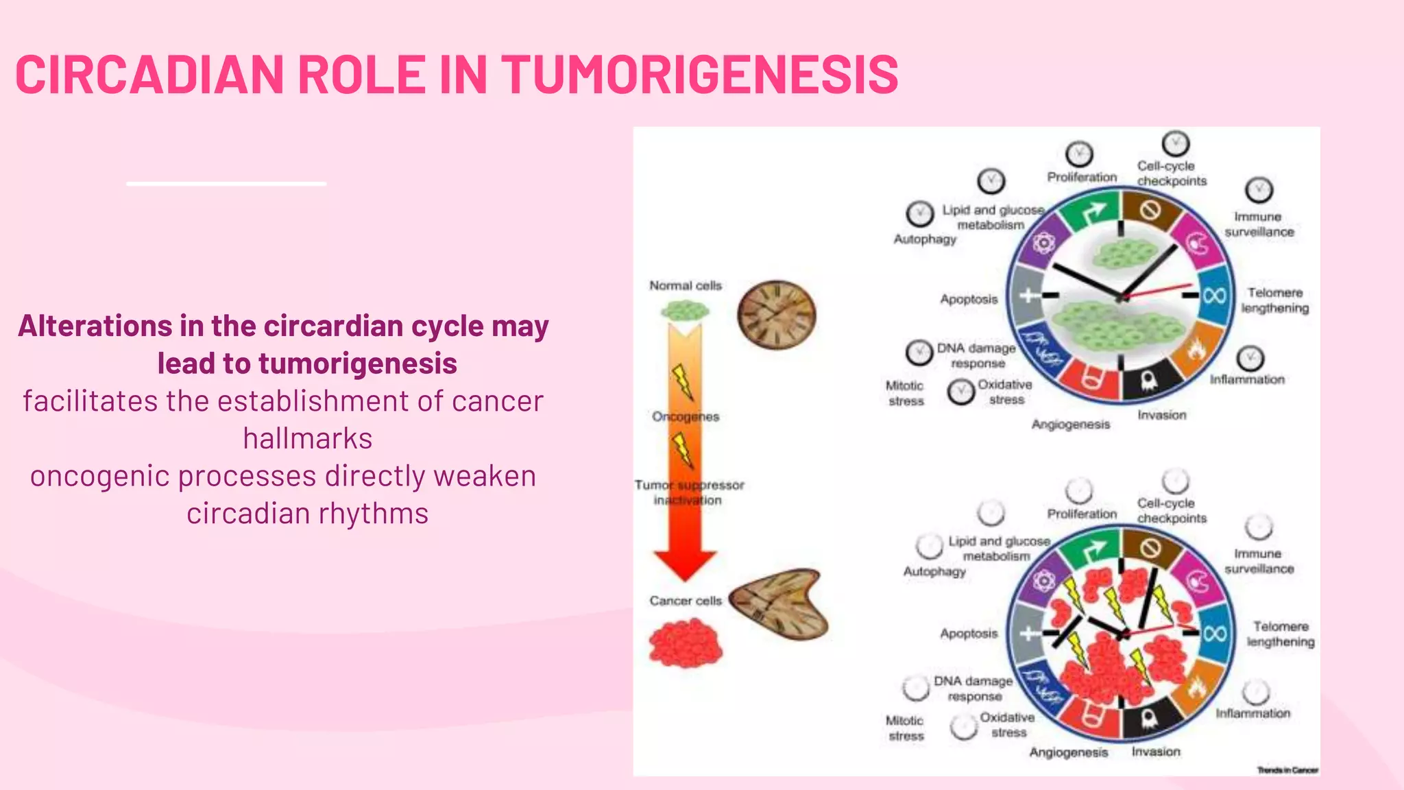 Pathways of metastasis of malignant tumors | PPTX