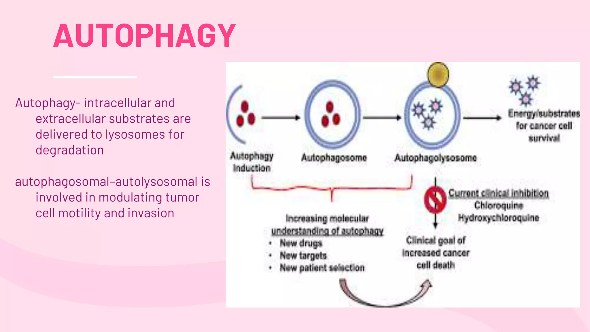 Pathways of metastasis of malignant tumors | PPTX