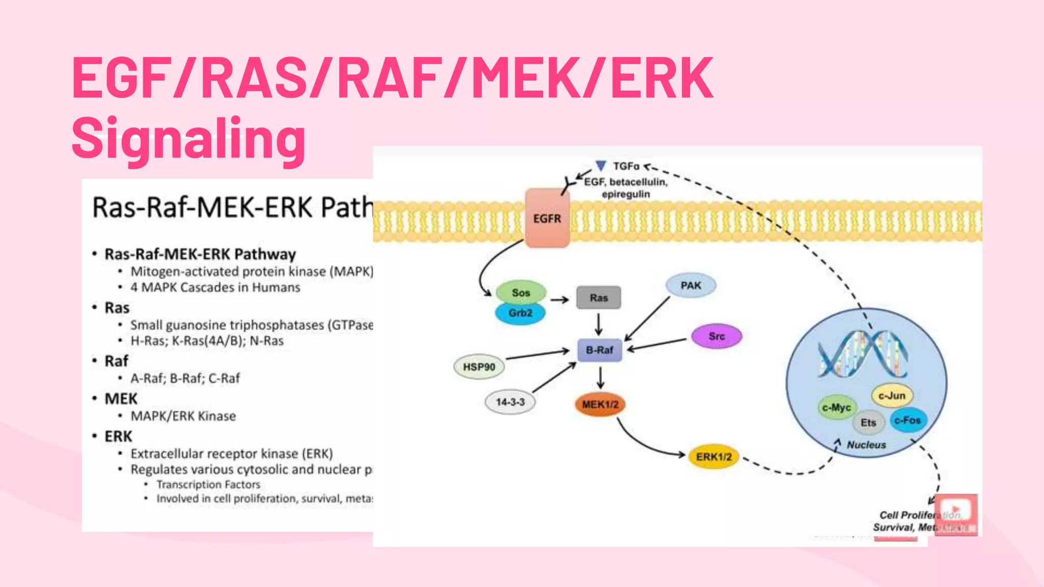 Pathways of metastasis of malignant tumors | PPTX