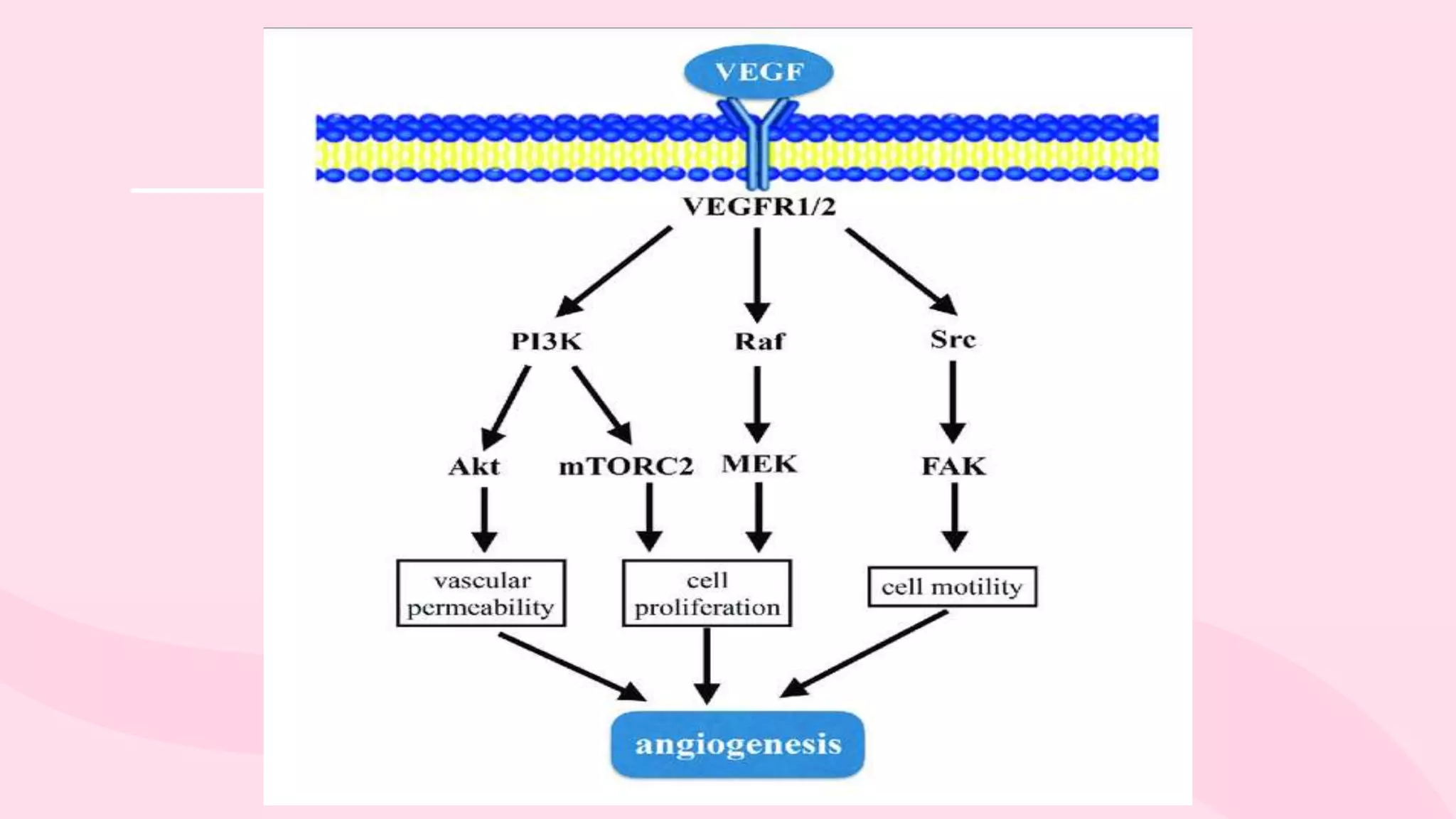 Pathways of metastasis of malignant tumors | PPTX