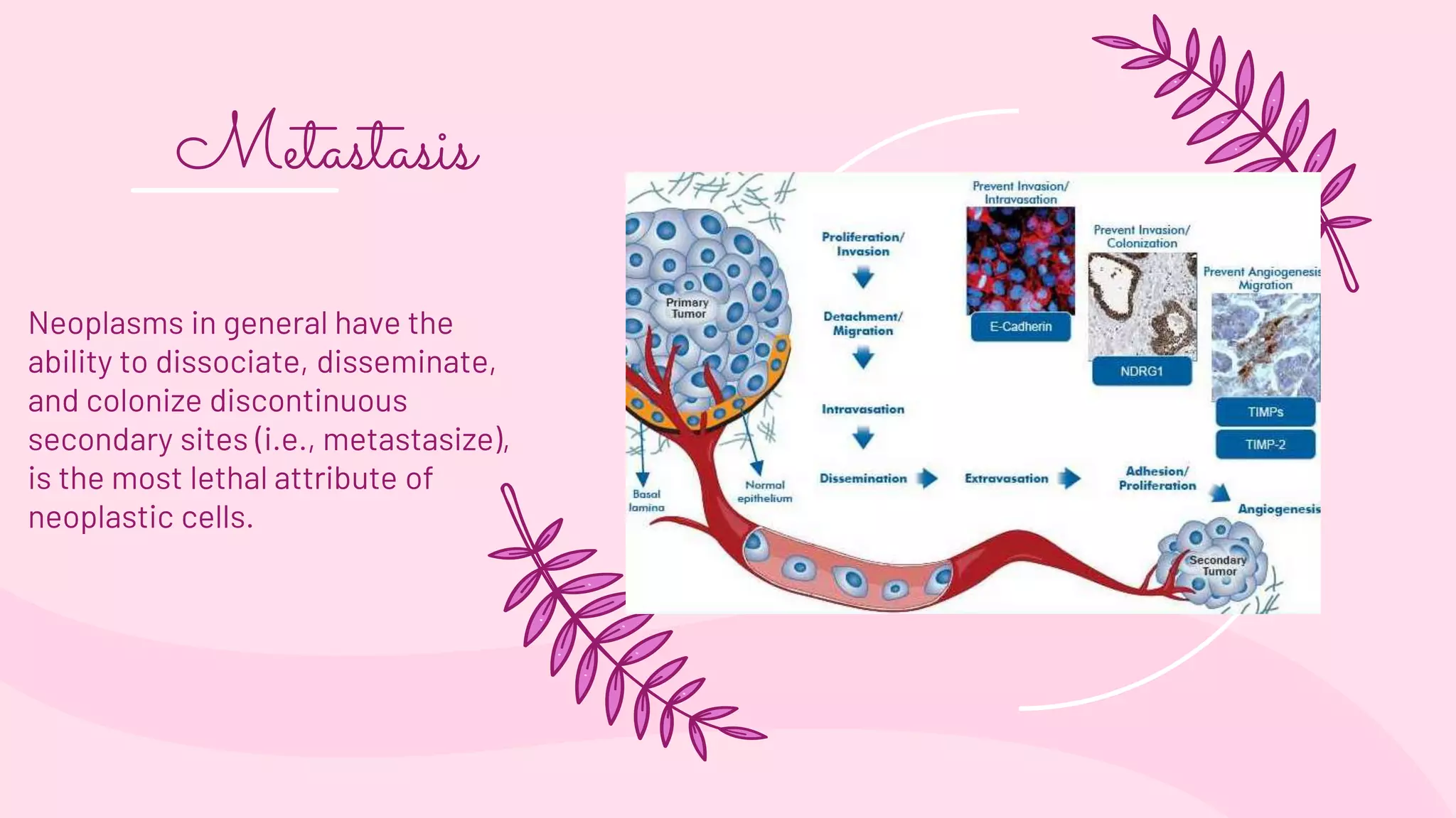 Pathways of metastasis of malignant tumors | PPTX