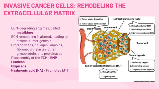 Pathways of metastasis of malignant tumors | PPTX