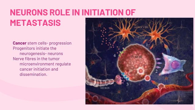 Pathways of metastasis of malignant tumors | PPTX