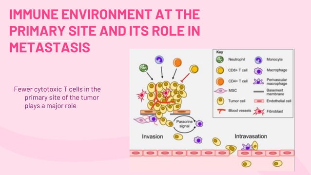 Pathways of metastasis of malignant tumors | PPTX