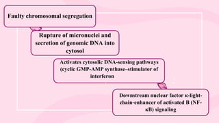 Pathways of metastasis of malignant tumors | PPTX