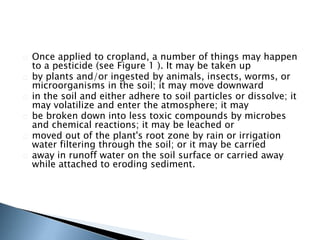 Pathways of pesticide loss | PPT