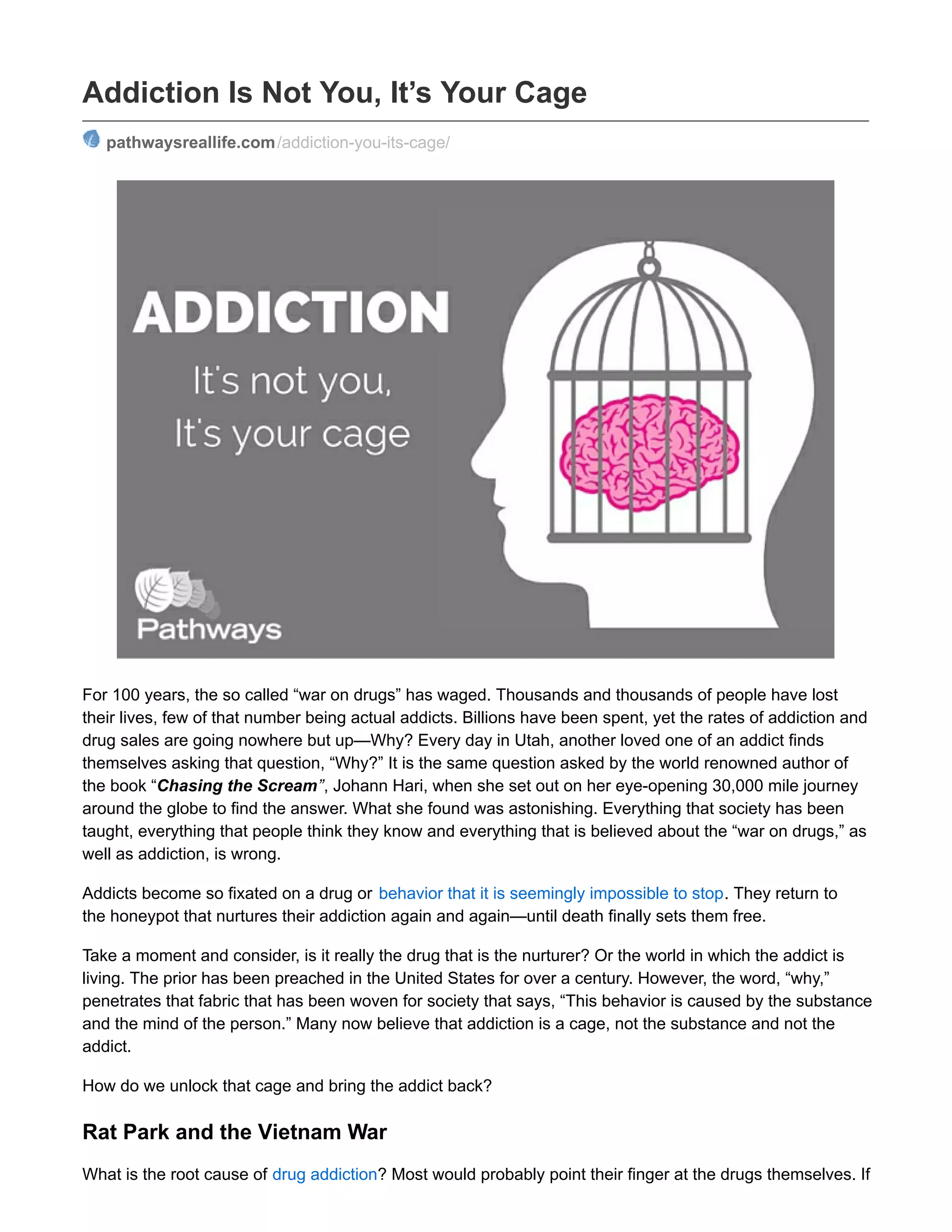 Addiction Is Not You, It’s Your Cage | PDF