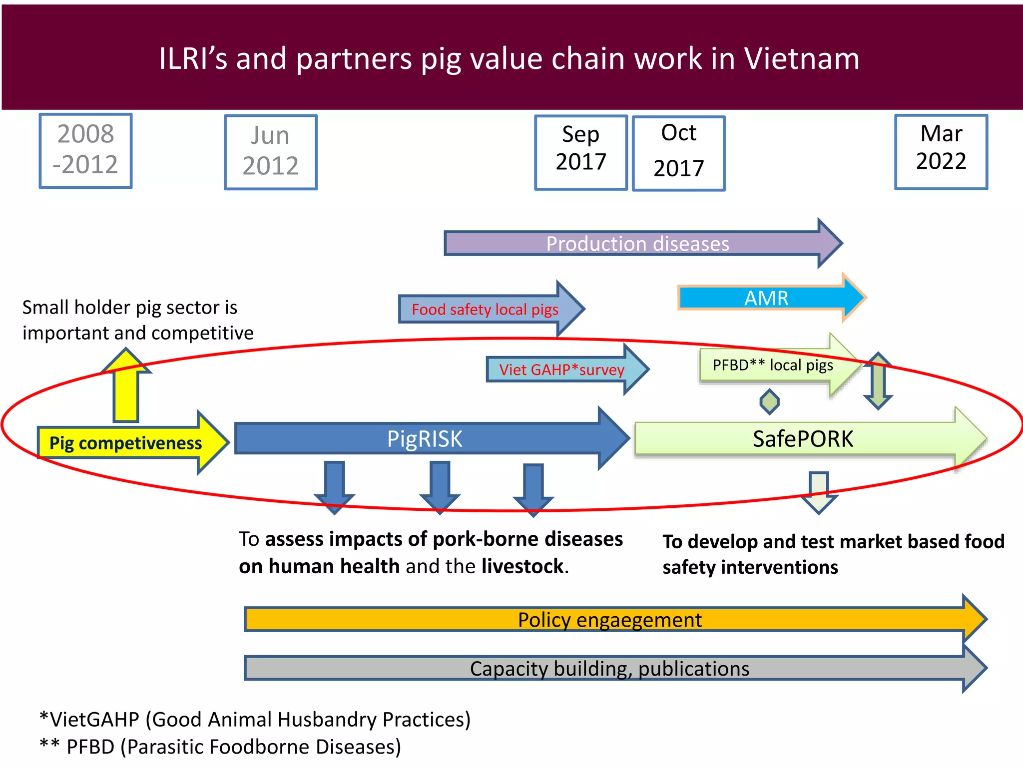 Food safety in the pork value chain and pathways towards safer pork in ...