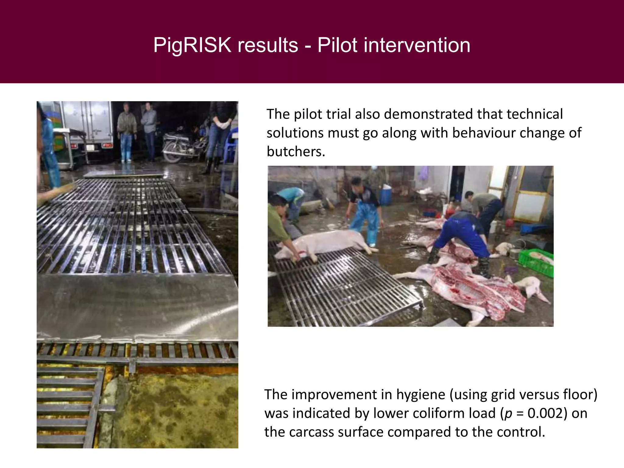 Food safety in the pork value chain and pathways towards safer pork in ...