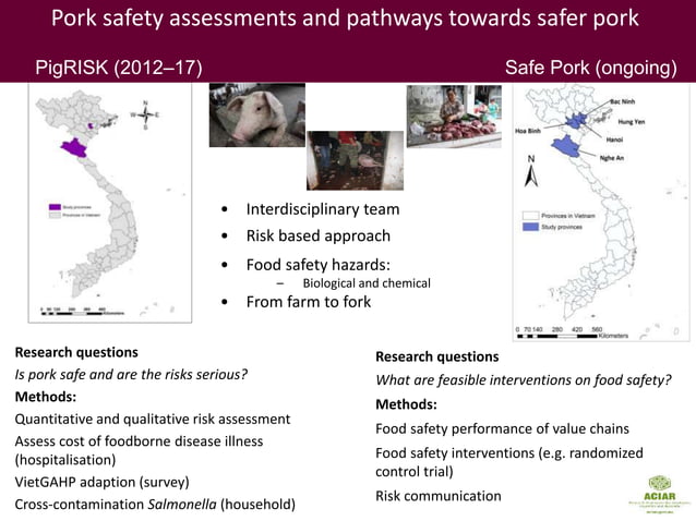Food safety in the pork value chain and pathways towards safer pork in ...