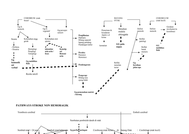 Pathways stroke | DOC