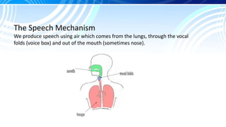 Pathways To Better Speech Speech Mechanism .pptx