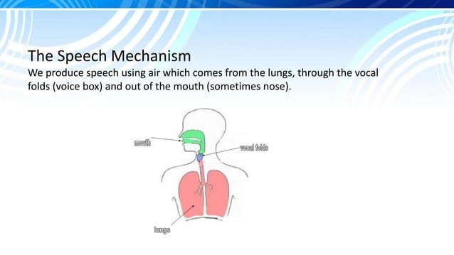 Pathways To Better Speech Speech Mechanism .pptx