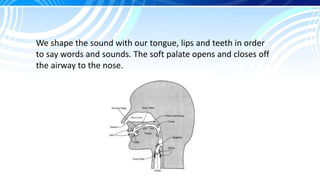 Pathways To Better Speech Speech Mechanism .pptx