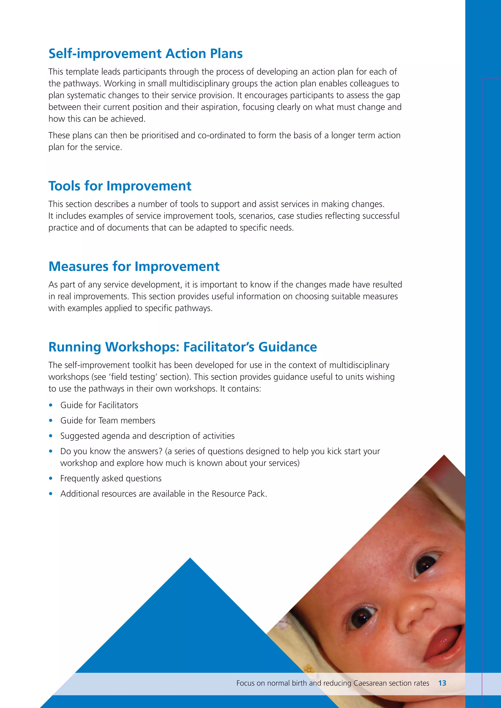 Pathways to success focus on normal birth | PDF