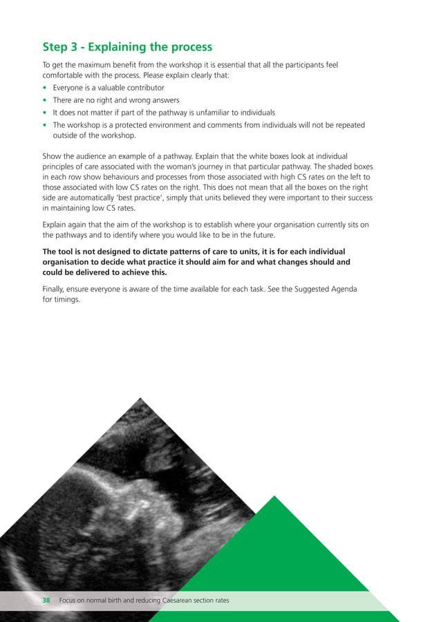 Pathways to success focus on normal birth | PDF