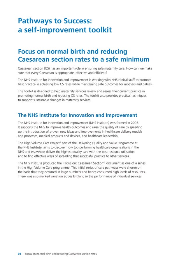 Pathways to success focus on normal birth | PDF
