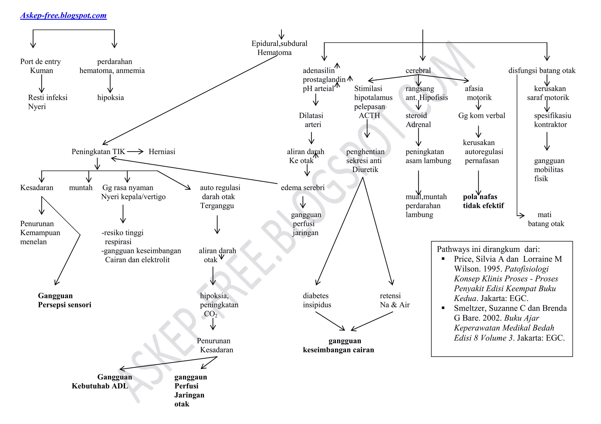 Pathways trauma kepala | PDF