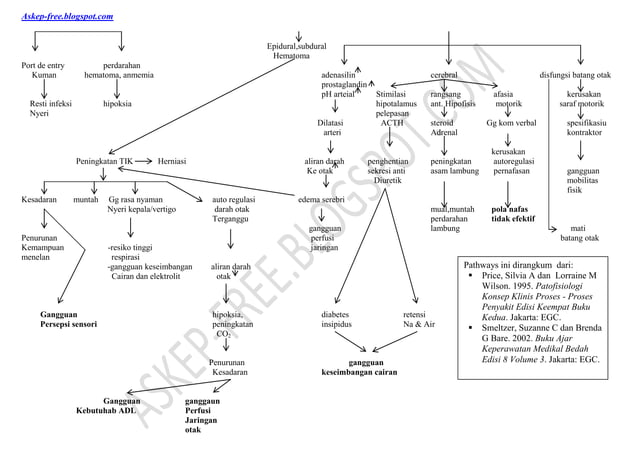 Pathways trauma kepala | PDF