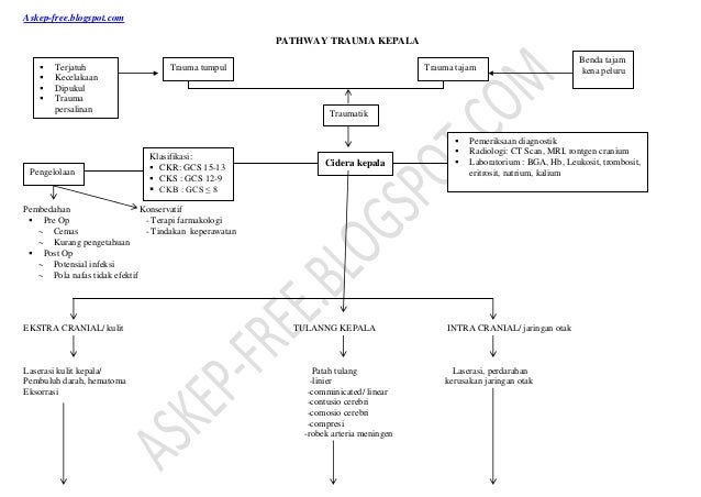 Pathways trauma kepala