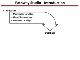 Pathway studiosymposium lorenzi | PPT