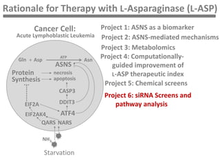Identifying candidate targets for Cancer Therapy with Integrated Text ...