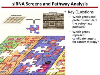 Identifying candidate targets for Cancer Therapy with Integrated Text ...