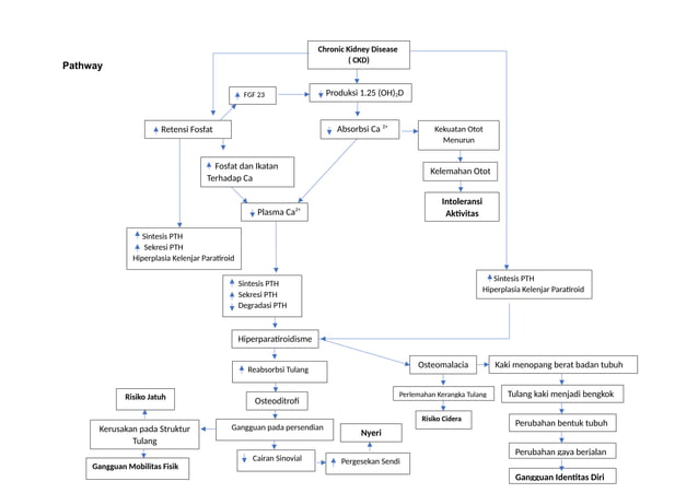 Pathway titinKXCNZ,.CN V,.NCV,.MN M,.C,.MVK.MCVKL ;FKDLK;K ;PCWOPQIC PEWTFIOI VNIPOEUWC | DOCX