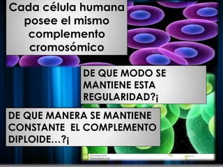 fiosiopatologia de la genetica | PPTX