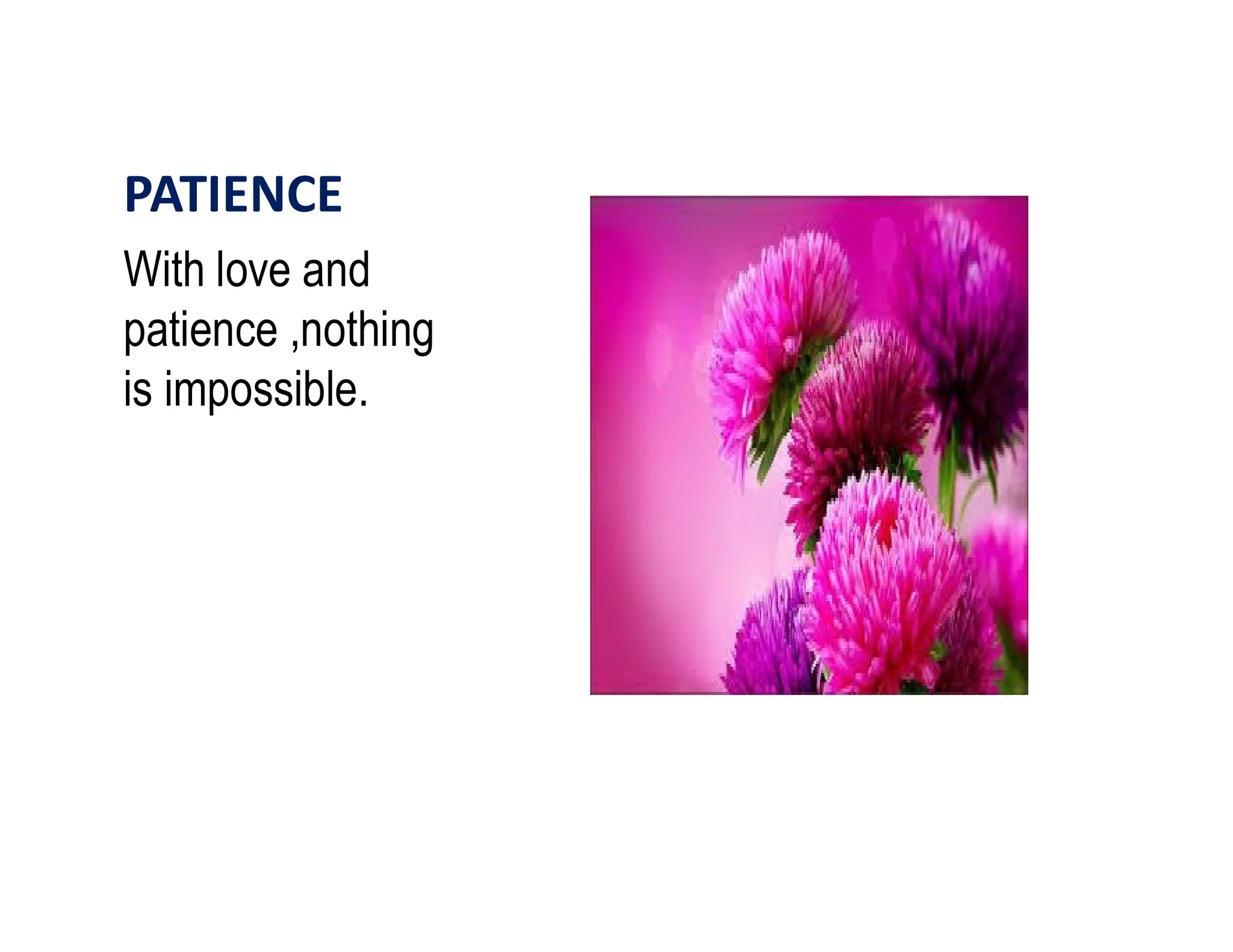 PATIENCE -The road to wisdom............ | PDF