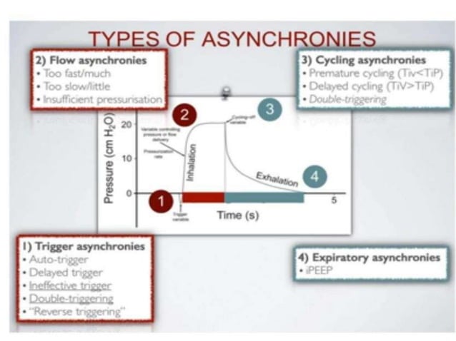 Patient-ventilator dyssynchrony.pptx