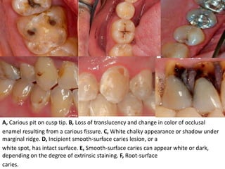 Patient Assessment,patient evaluation, diagnosis and treatment planning ...