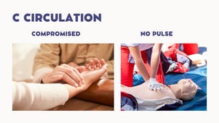 patient assessment (1).pdf | Air Travel | Travel Type