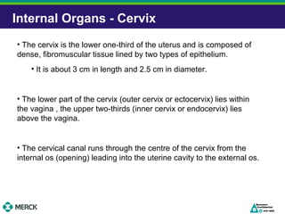 Cervical Cancer Patient Awarness ppt | PPT | Pregnancy | Reproductive ...
